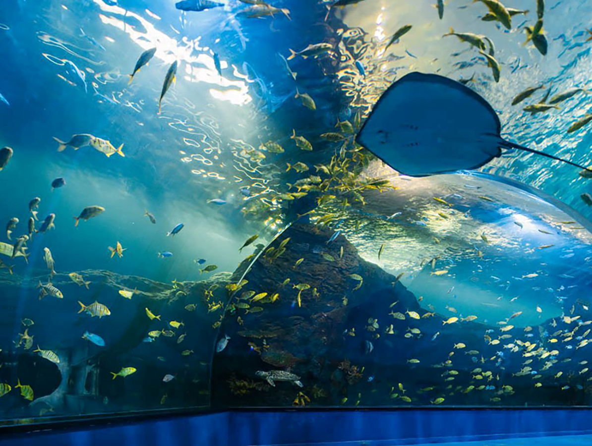 HUNAN YIYANG HONEY BAY | Emaux Pool and Spa Equipment