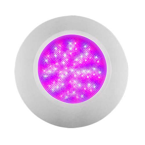 E-Lumen Compact Light | Emaux Pool and Spa Equipment