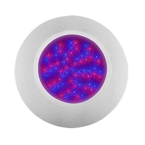 E-Lumen Compact Light | Emaux Pool and Spa Equipment